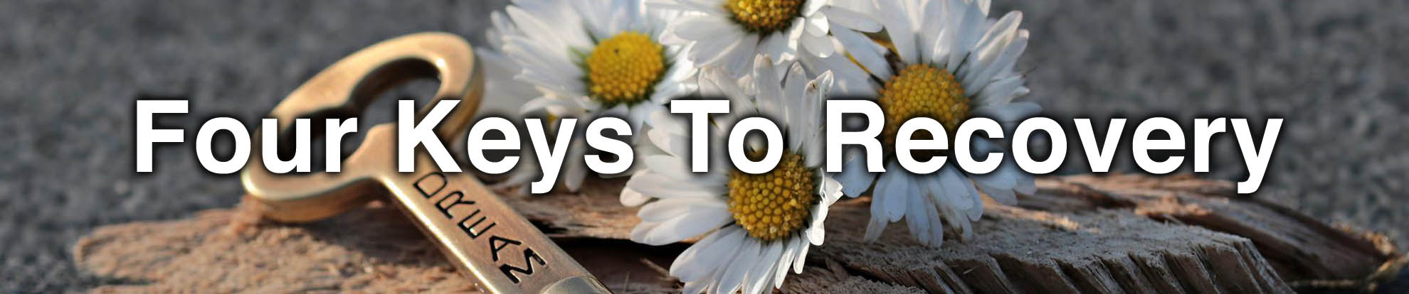 Recovery Roots - Recovery Roots